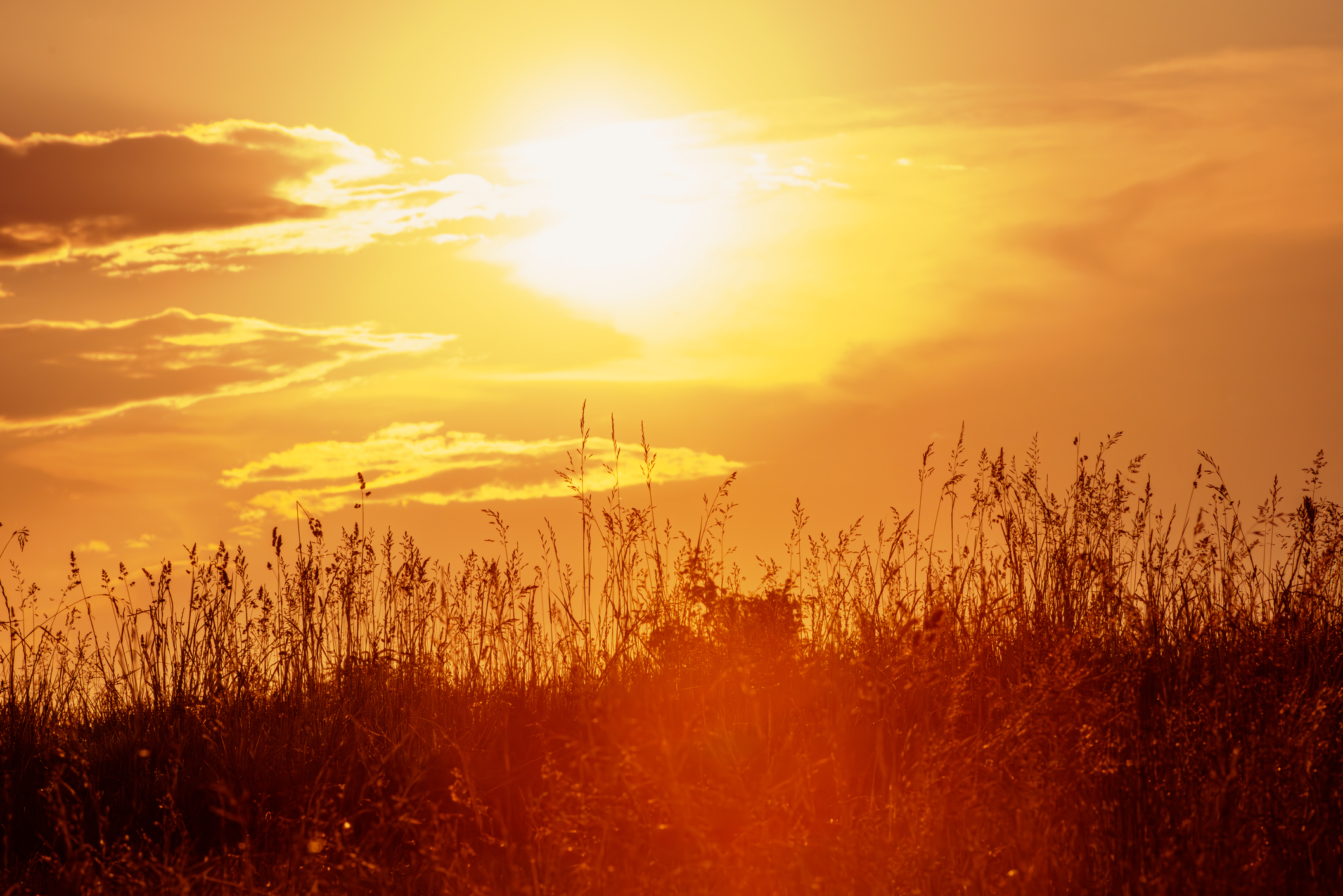 WEEK 1: January 2-8: REPENTANCE, CONSECRATION, PROGRESSIVE ...